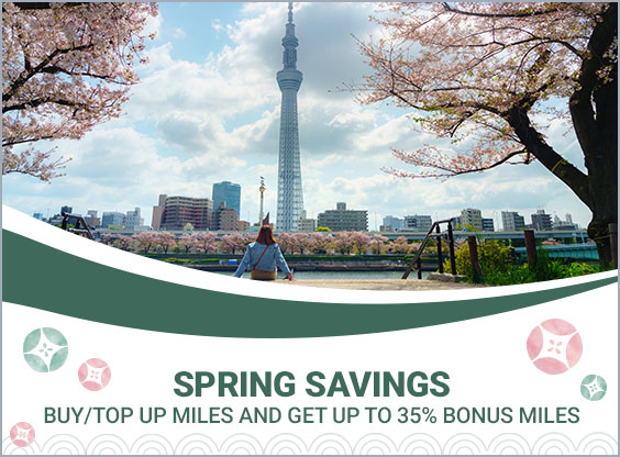 Infinity MileageLands- Purchase Miles/Top up Miles - EVA Air ...
